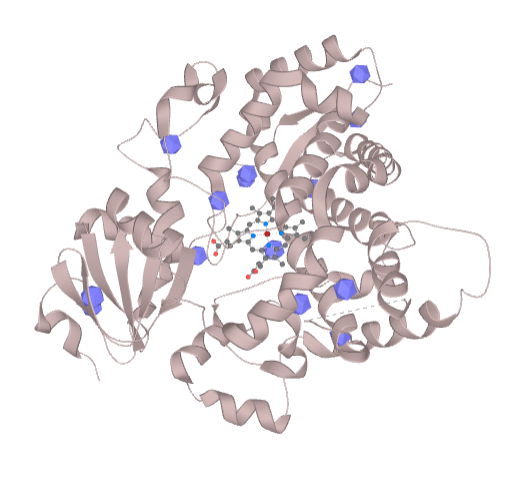Moleonline Mole 2 0 And Moleonline 2 0 Algorithm Explanation